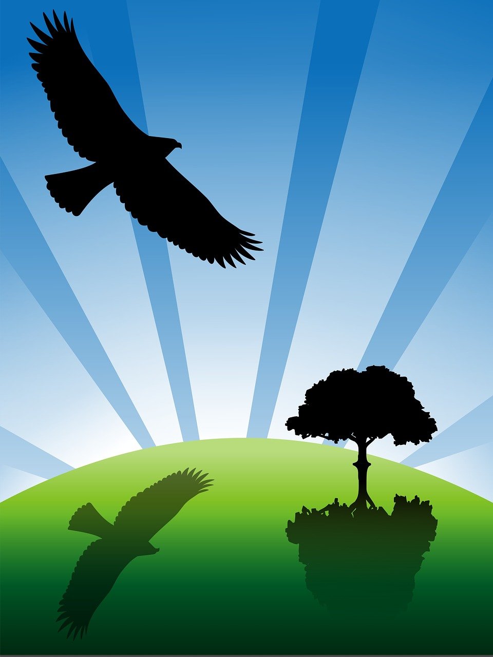 Shadow Day – Walnut Grove Coop